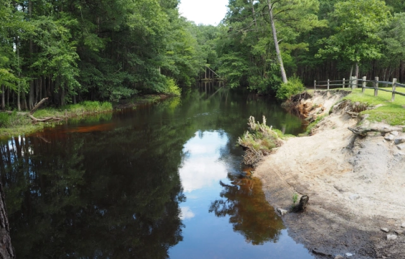 Lumber River State Park - Chalk Banks Access | Kids in Parks