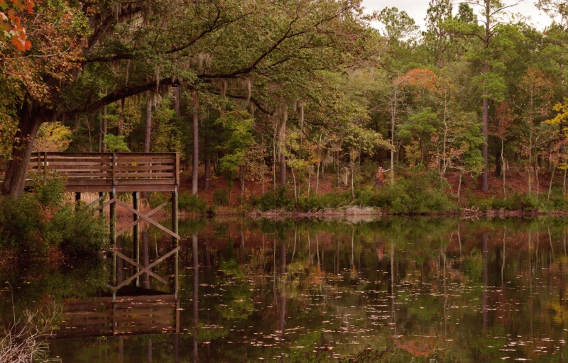Millers Pond Park | Kids in Parks