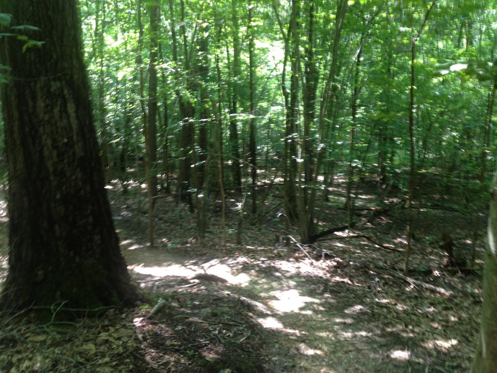 Shallow Ford Natural Area | Kids in Parks