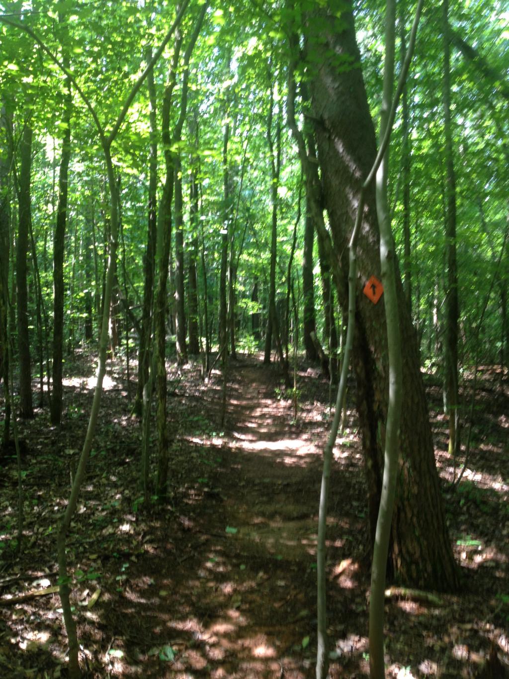 Shallow Ford Natural Area | Kids in Parks