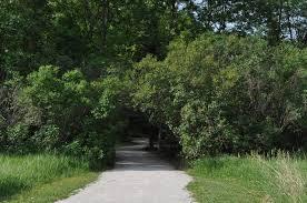 Adams Homestead and Nature Preserve | Kids in Parks
