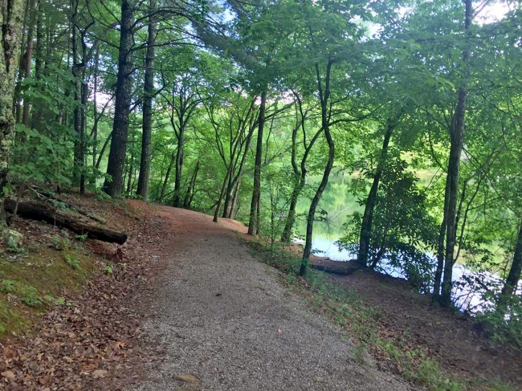 Cherokee National Forest - Chilhowee | Kids in Parks