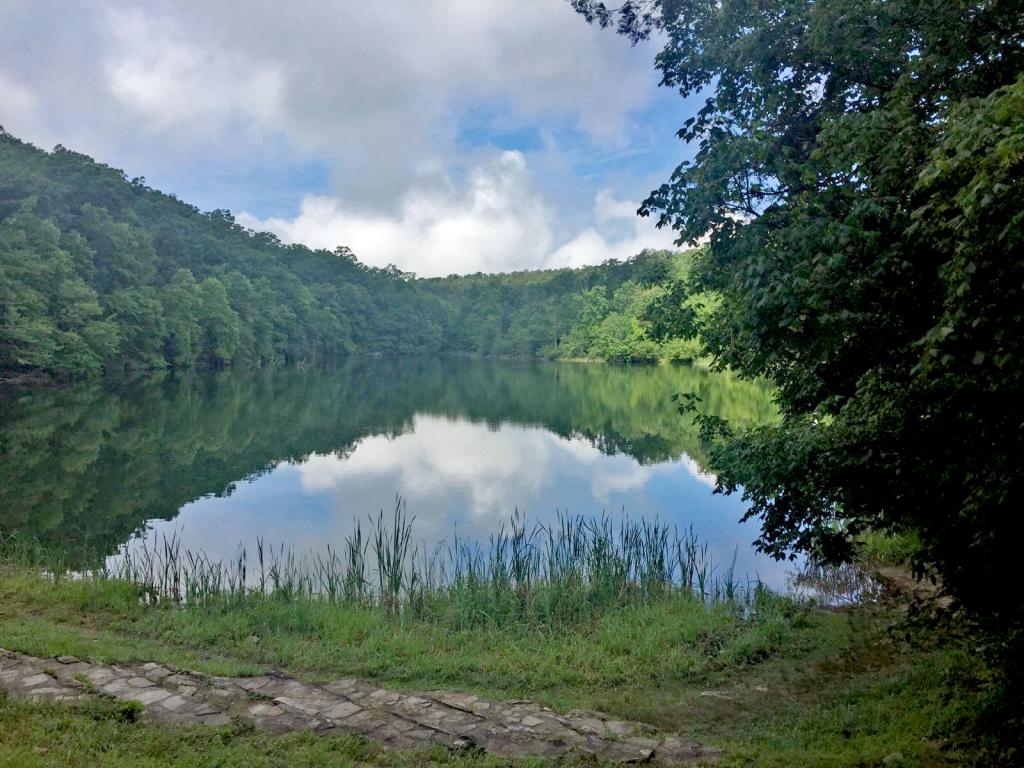 Cherokee National Forest - Chilhowee | Kids in Parks