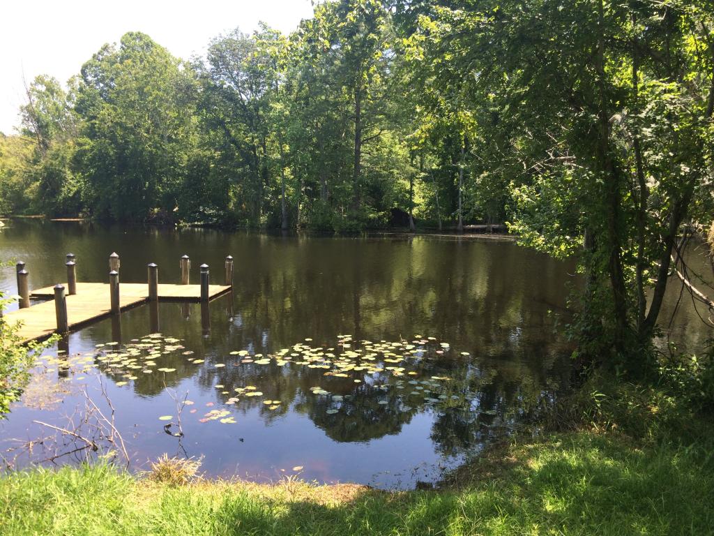 Roanoke/Cashie River Center | Kids in Parks