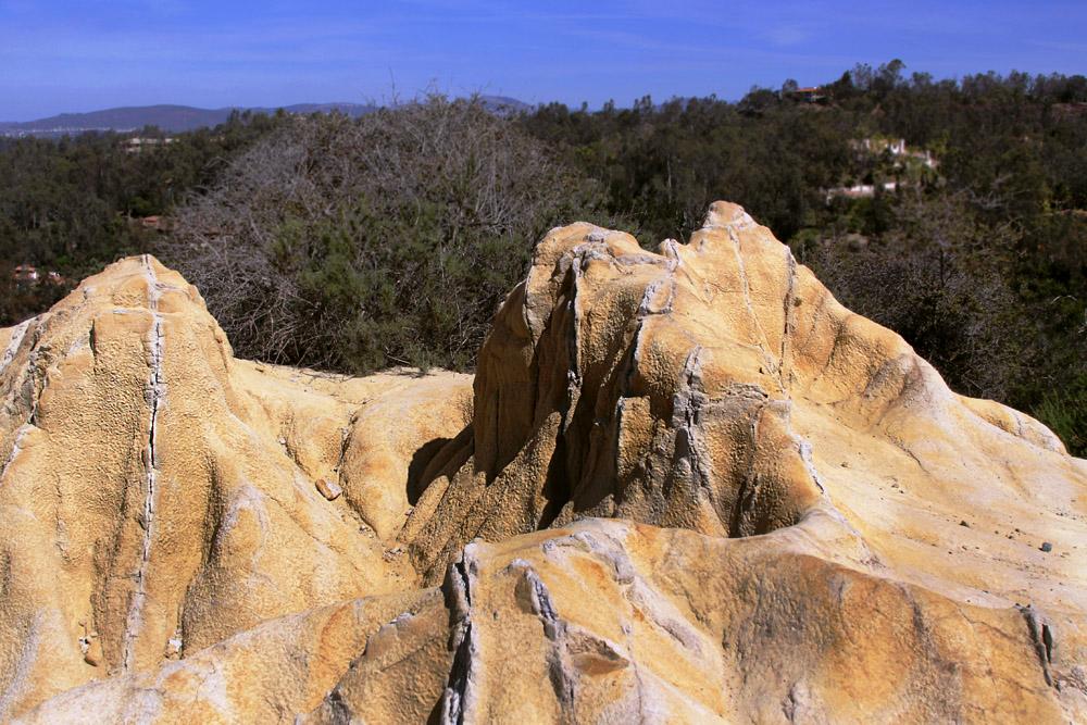 San Dieguito County Park | Kids in Parks