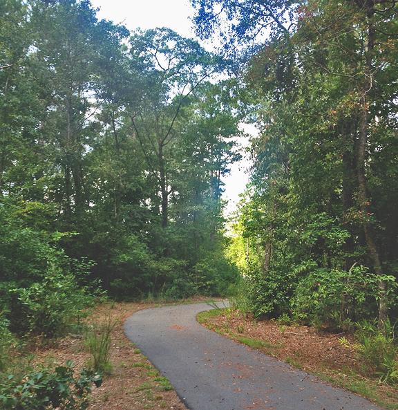 Alice F. Keene District Park | Kids in Parks