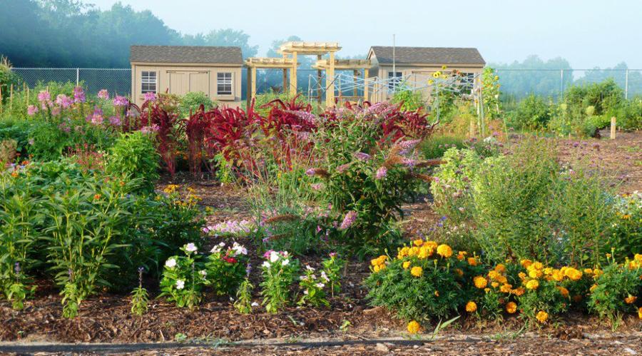 Alice F. Keene District Park | Kids in Parks