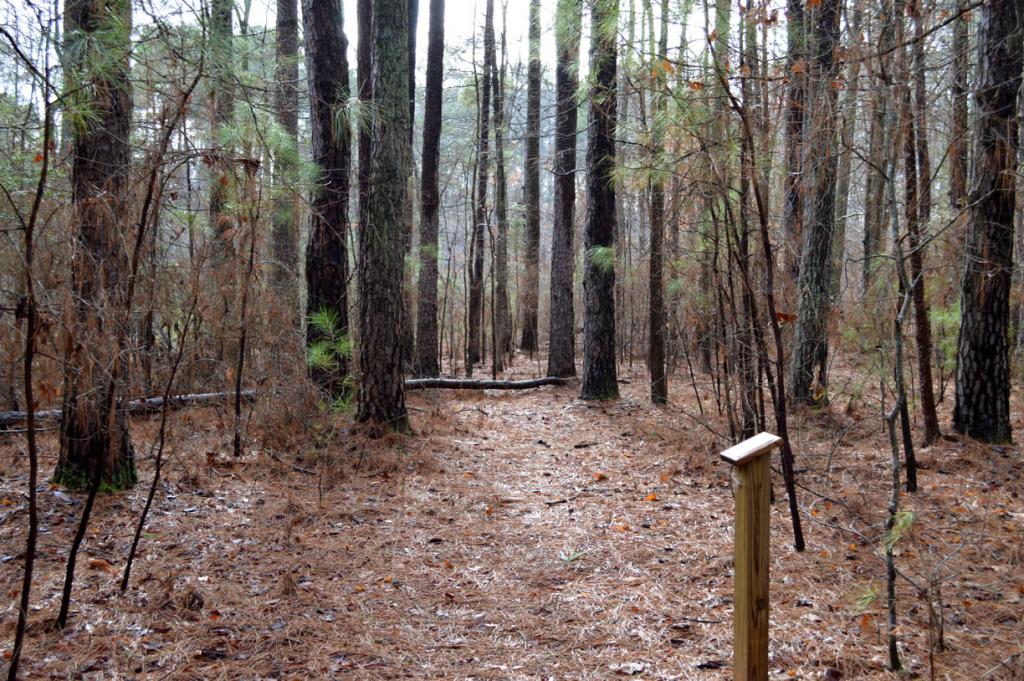 Kerr Lake State Recreation Area | Kids in Parks