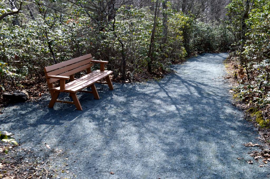 Shenandoah National Park - Limberlost Trail | Kids in Parks