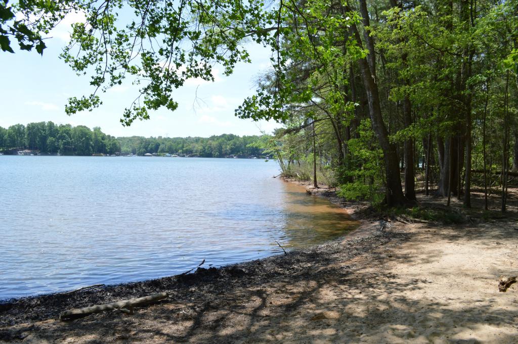 Latta Plantation Nature Preserve | Kids in Parks