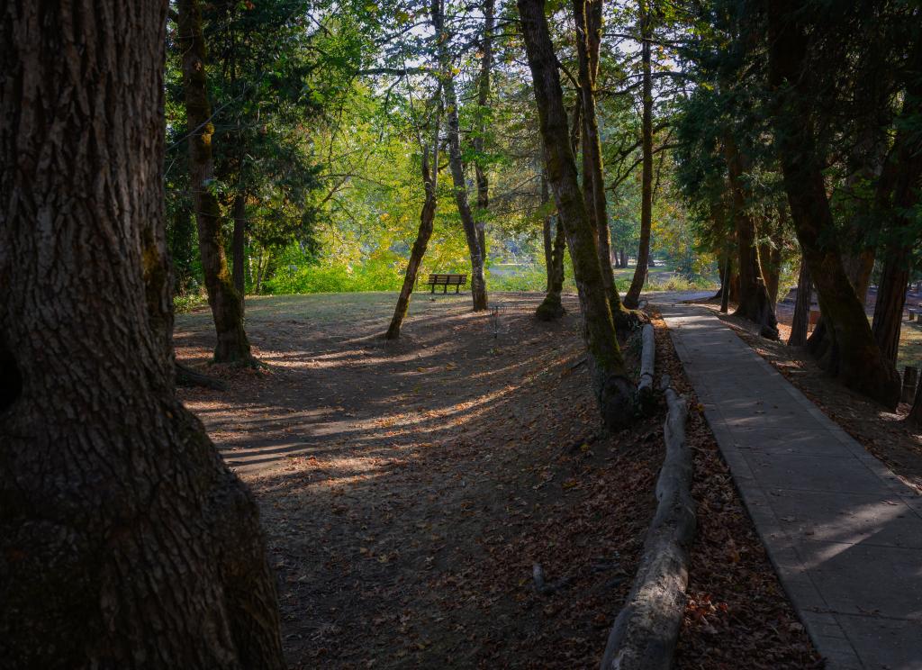 Dallas City Park | Kids in Parks