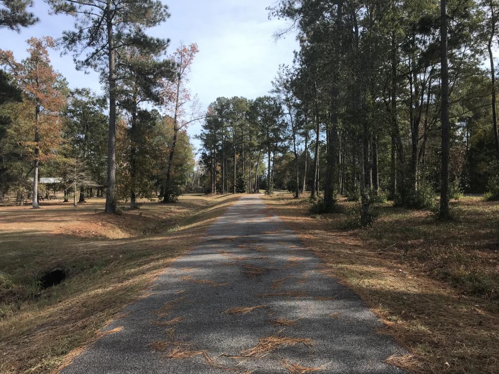 Elizabeth Brinkley Park | Kids in Parks