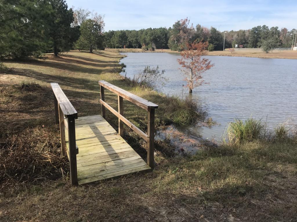 Elizabeth Brinkley Park | Kids in Parks