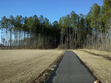 Alice F. Keene District Park | Kids in Parks