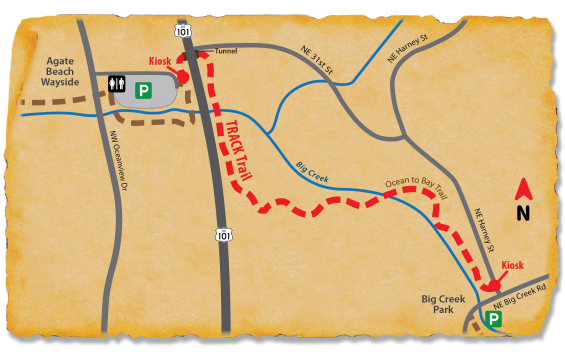 Agate Beach | Kids in Parks