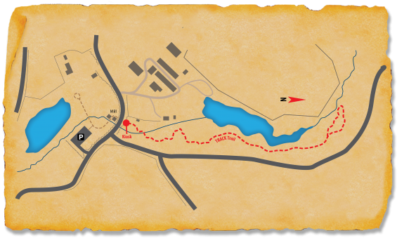 Marl Creek Trail at McCormick Farm | Kids in Parks