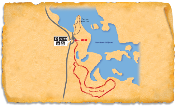 Merchants Millpond State Park | Kids in Parks