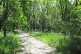 Adams Homestead and Nature Preserve | Kids in Parks