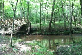 Shallow Ford Natural Area | Kids in Parks