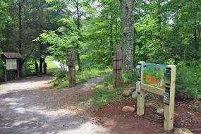 Cherokee National Forest - Chilhowee | Kids in Parks