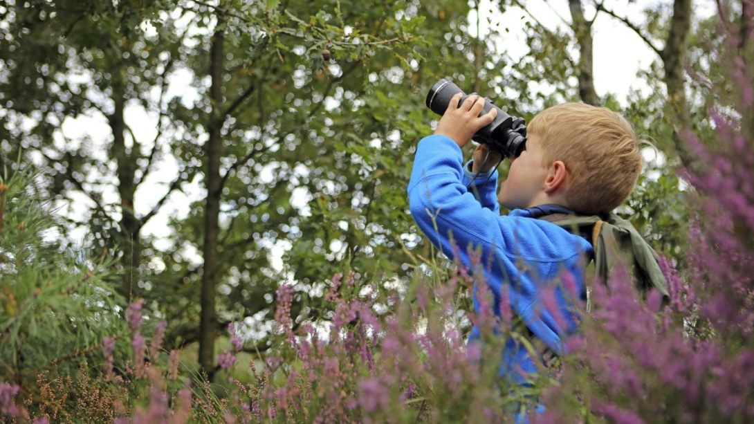 Loving Outside - The benefits of getting out in nature | Kids in Parks